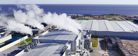 Pulp drying services